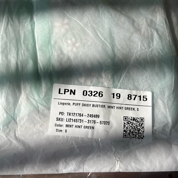 Savage X Fenty | Intimates & Sleepwear | Savage X Fenty Mint Hint Green ...